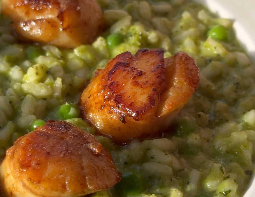 Pan Seared Scallops & Mint Pea Risotto – Pesky