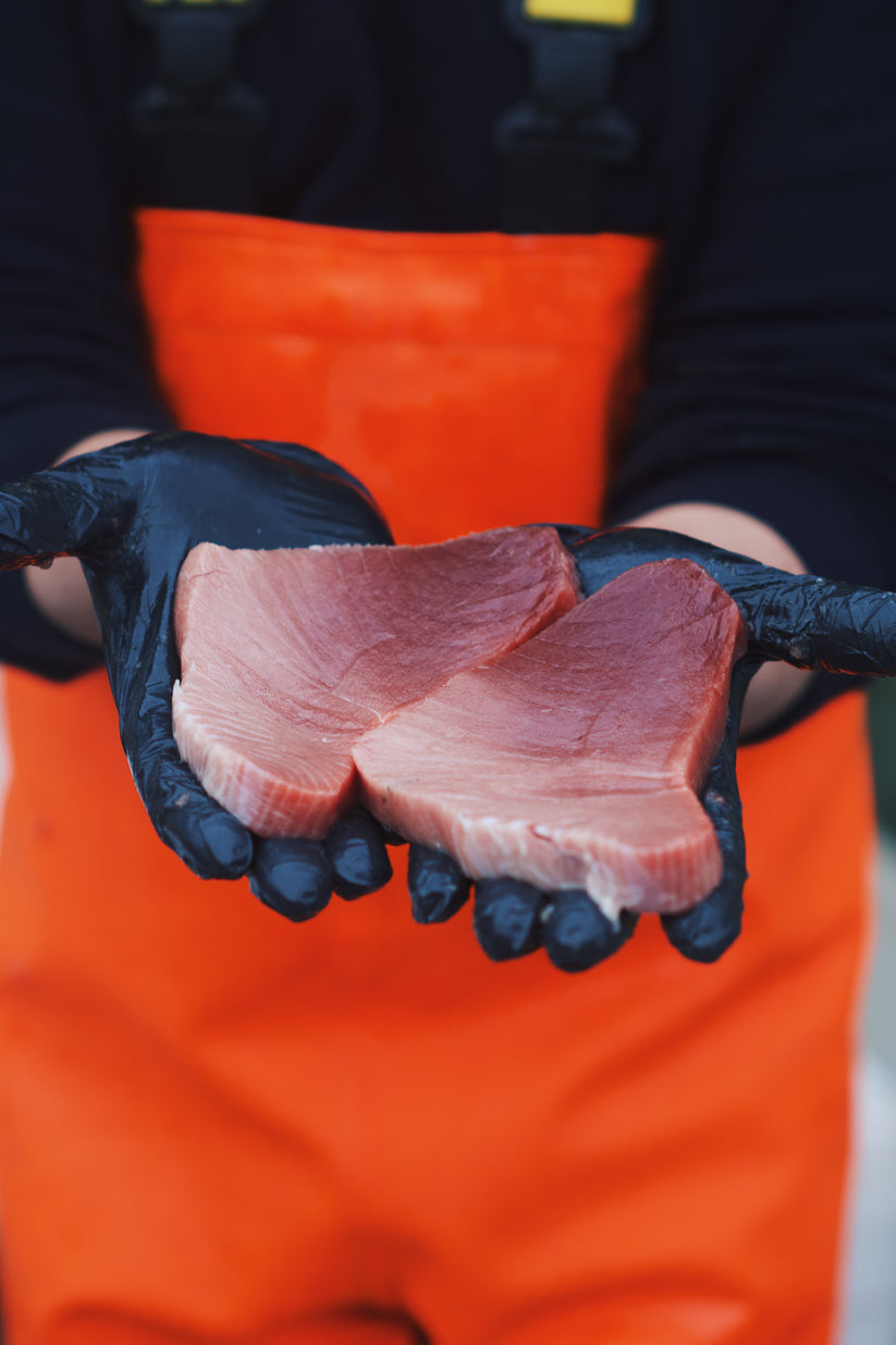 Ikejime Bluefin Tuna Top Loin Steaks – Pesky